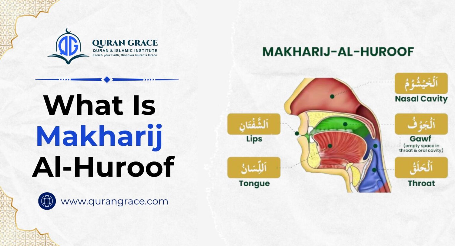 Makharij Al Huroof | Arabic letters with Chart - Quran Grace
