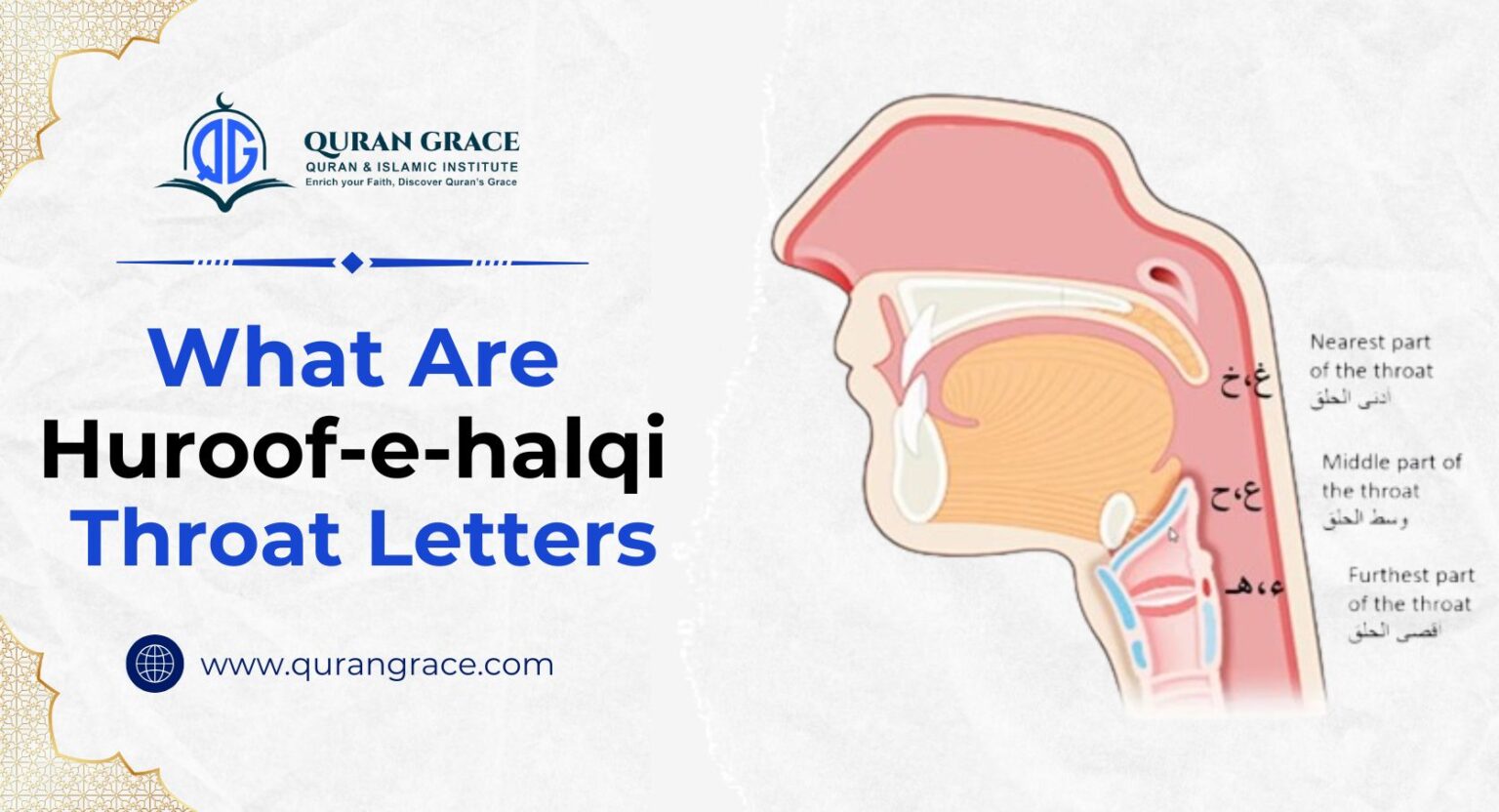 Huroof-e-halqi in Tajweed | Throat Letters & Rules - Quan Grace
